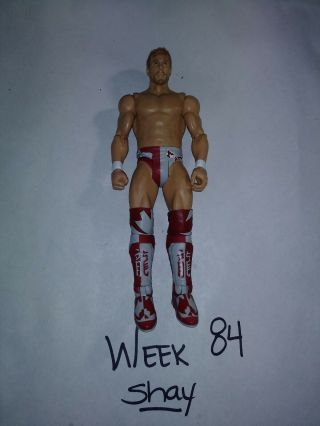 WWE Mattel Elite Series Daniel Bryan Wrestling Action Figure Loose ...