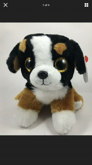 Ty Beanie Baby 6 " Roscoe The Bernese Mountain Dog Stuffed Animal Plush ...