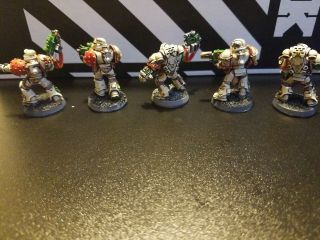 Warhammer 40k Pro Painted Space Marine Sternguard Veteran Squad Metal ...